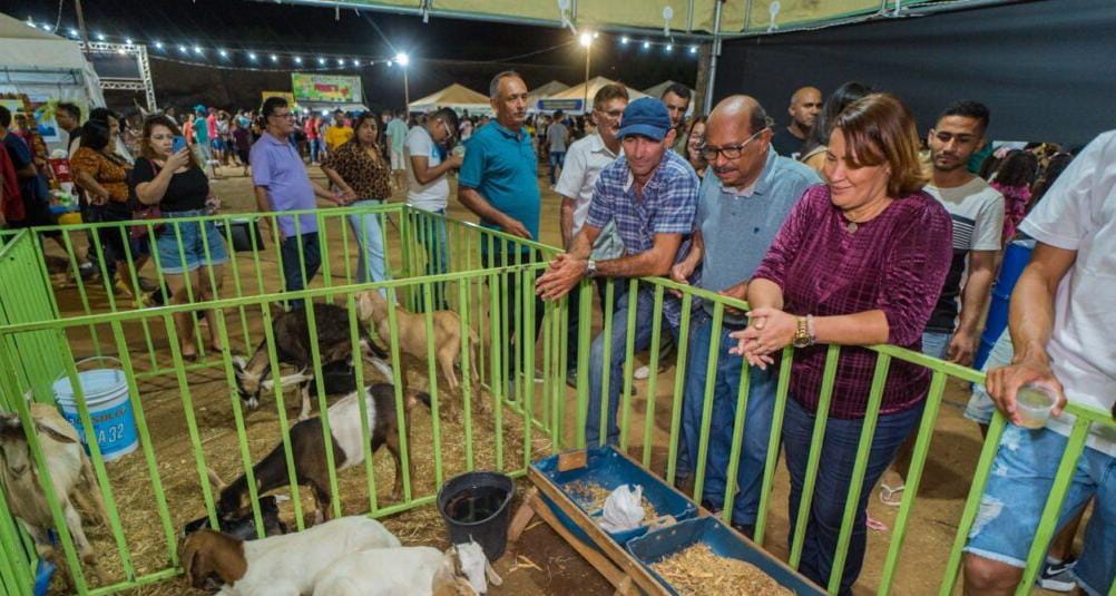 Valorização e fomento da caprinovinocultura são potencializados em ...